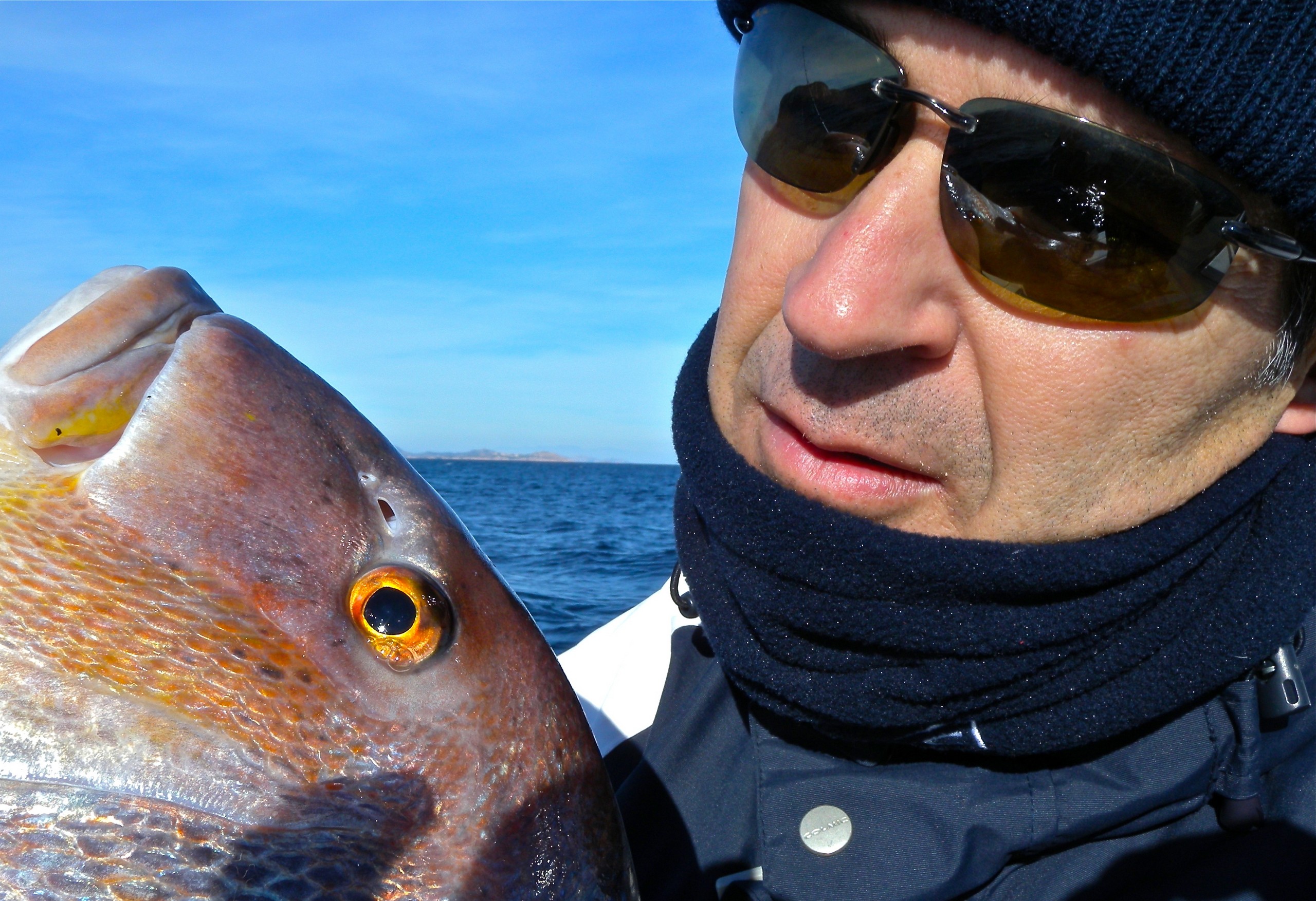 Rotante da traina - Il blog di Mattidapescare - Mattidapescare